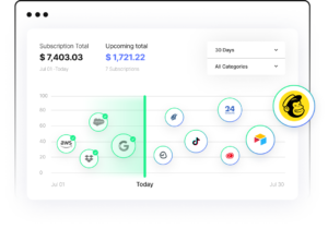 Expense Management Software Solution | Mesh Payments