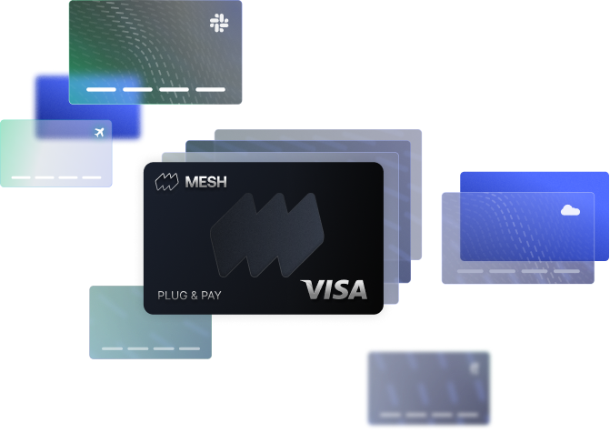 Our Plug & Pay Card | Mesh