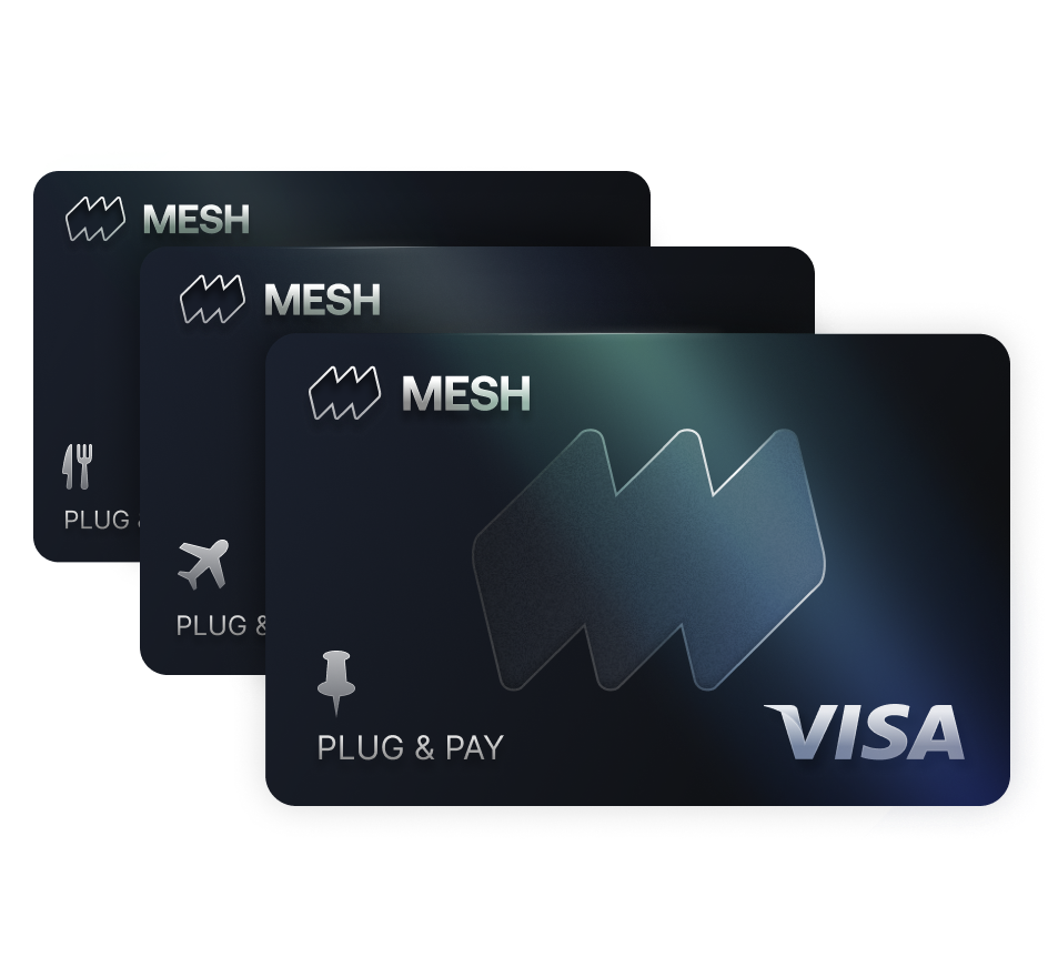 Our Plug & Pay Card | Mesh
