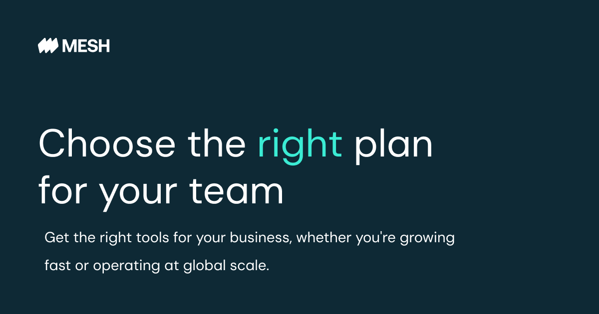 Our Pricing | Mesh Expense Management Software